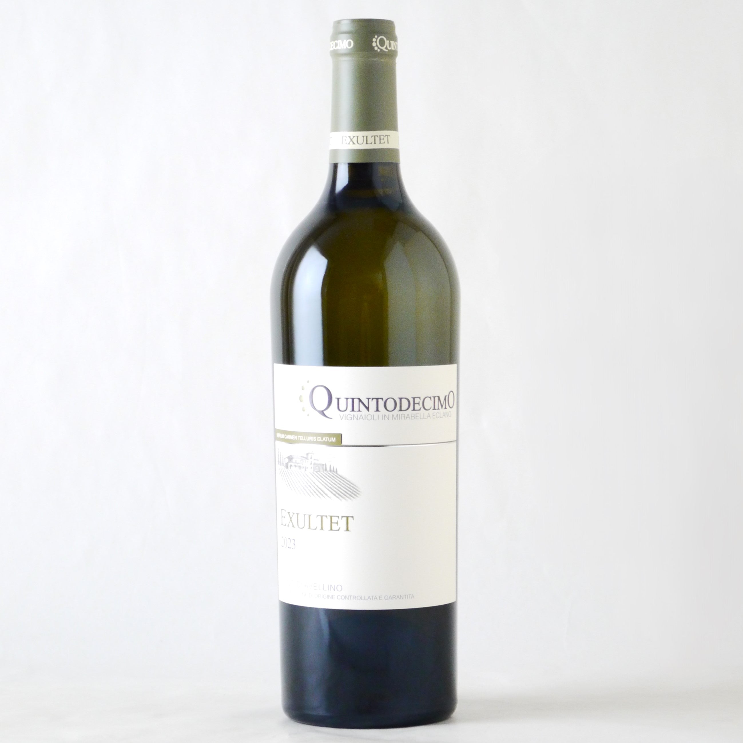 エクスルテト フィアーノ・ディ・アッヴェリーノ【2023】 – buzaemonオンラインストア